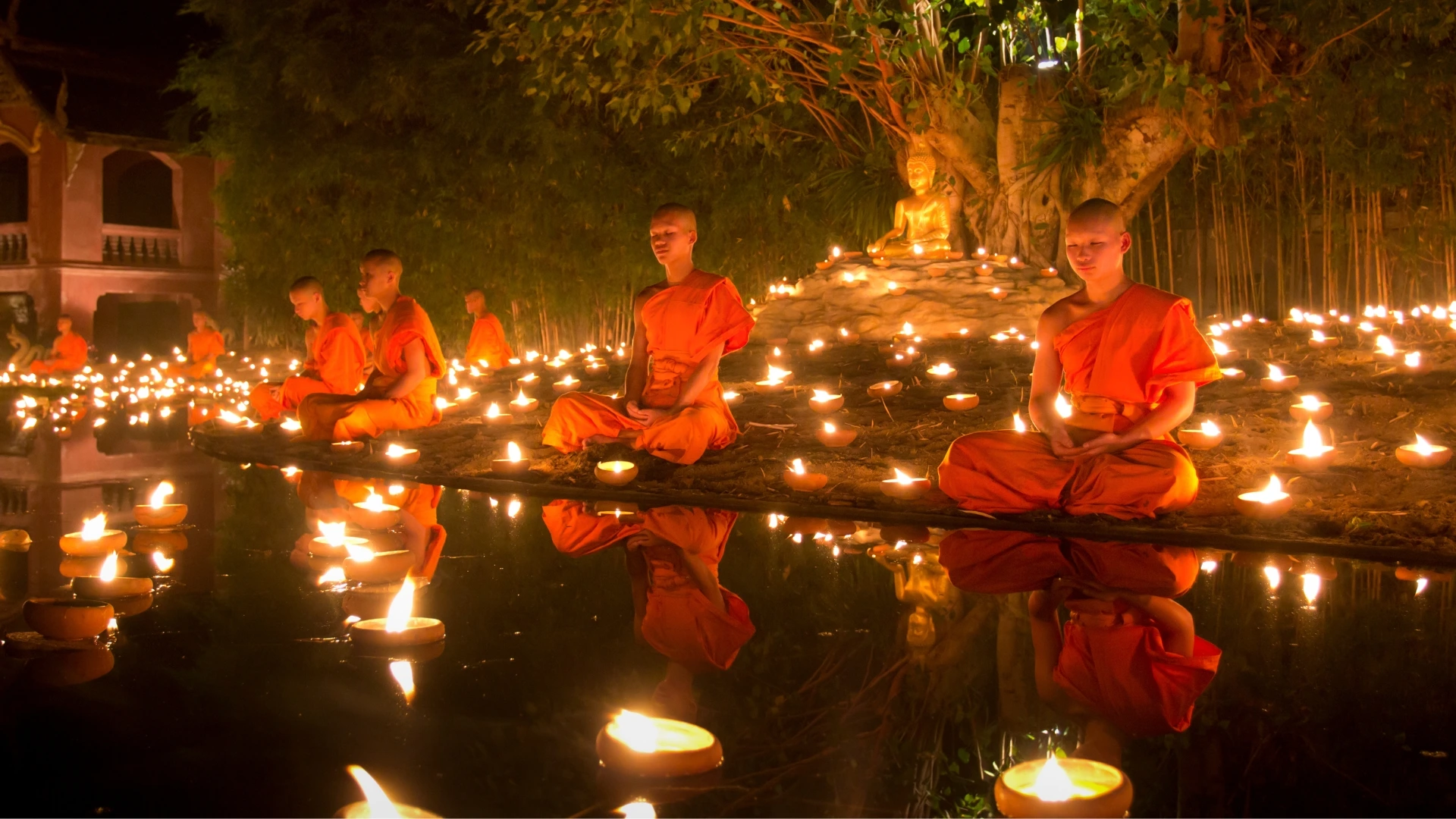 Siila | Your Space for Wellbeing | Events and Community